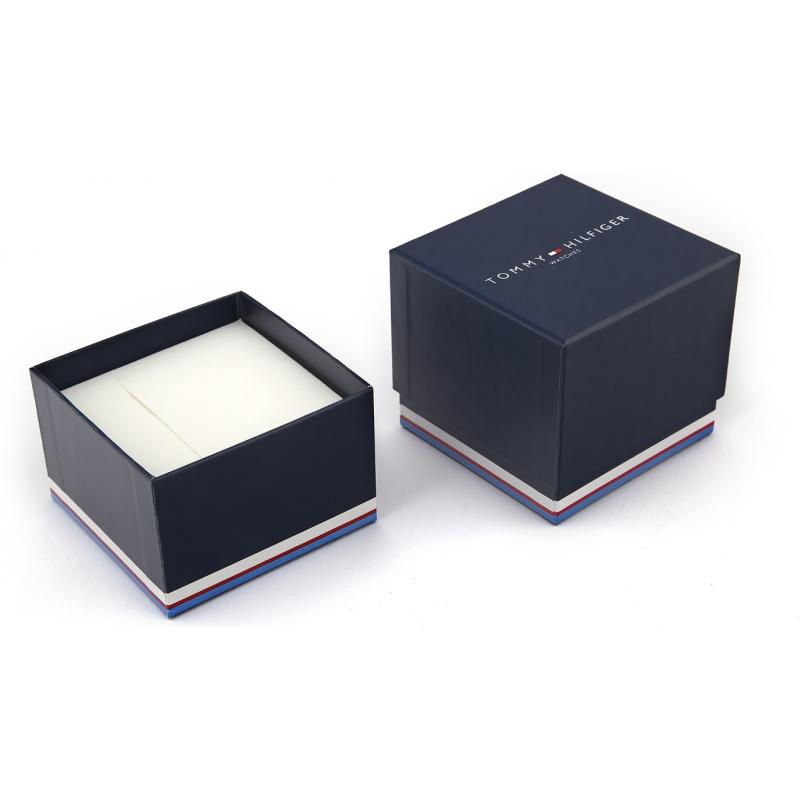 Pánske hodinky TOMMY HILFIGER 1791347 | Klenoty-buran.sk